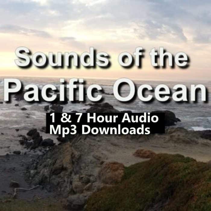 Sounds of the Pacific Ocean by DaleSnale